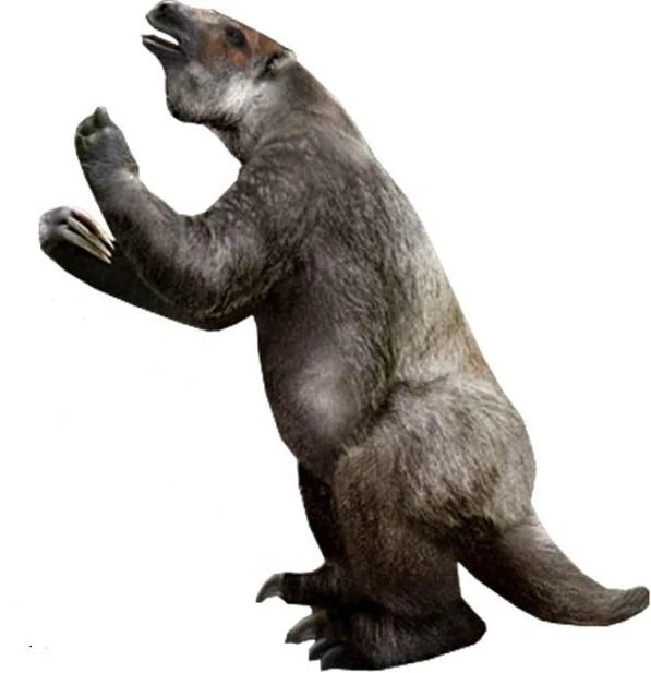 Megatherium | Wiki Prehistórico | FANDOM powered by Wikia