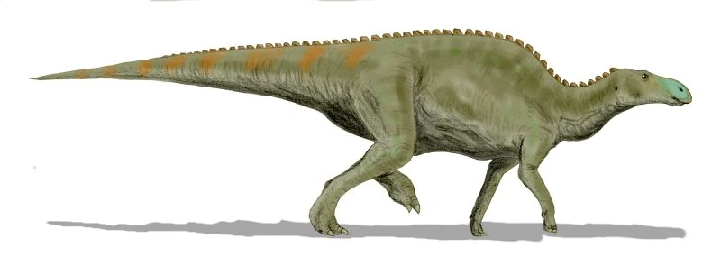 Anatosaurus | Wiki Prehistórico | FANDOM powered by Wikia