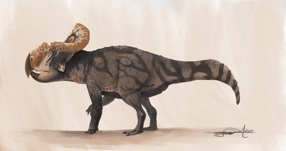 Protoceratops | Wiki Prehistórico | Fandom