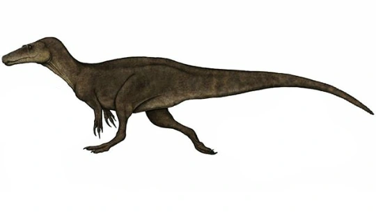 Ostafrikasaurus | Wiki Prehistórico | Fandom