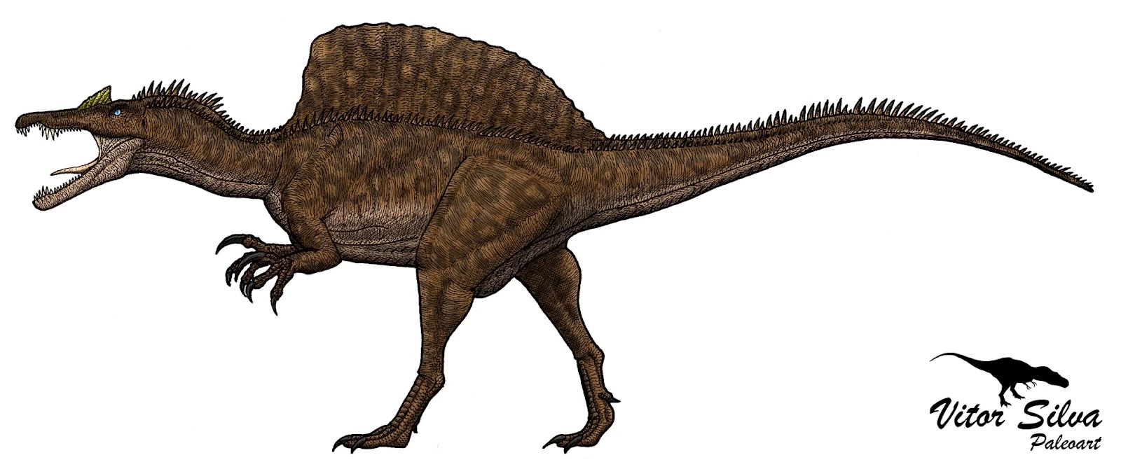 Oxalaia | Wiki Prehistórico | FANDOM powered by Wikia