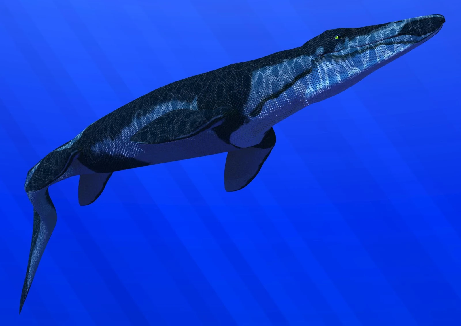 Ectenosaurus | Wiki Prehistórico | Fandom