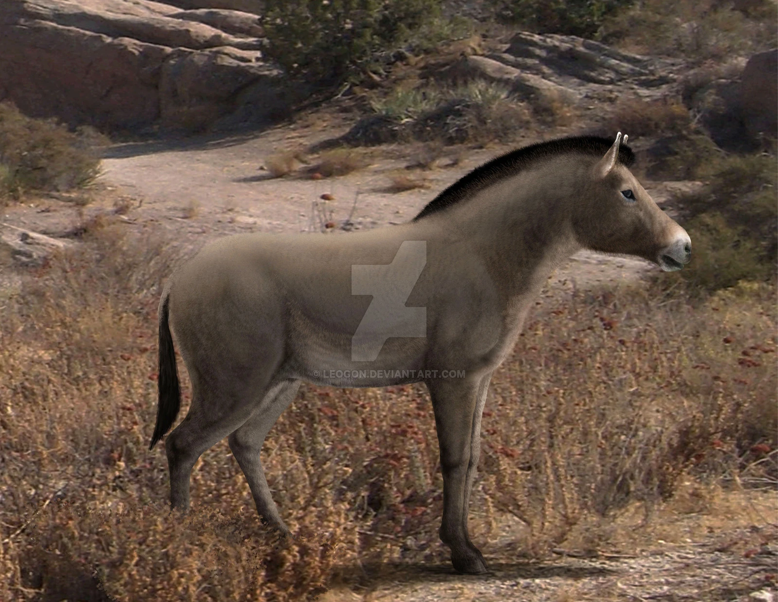 Equus simplicidens | Wiki Prehistórico | Fandom