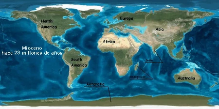 Mioceno | Wiki Prehistórico | FANDOM powered by Wikia