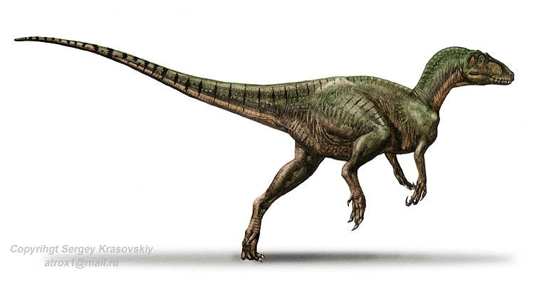 Ozraptor | Wiki Prehistórico | FANDOM powered by Wikia