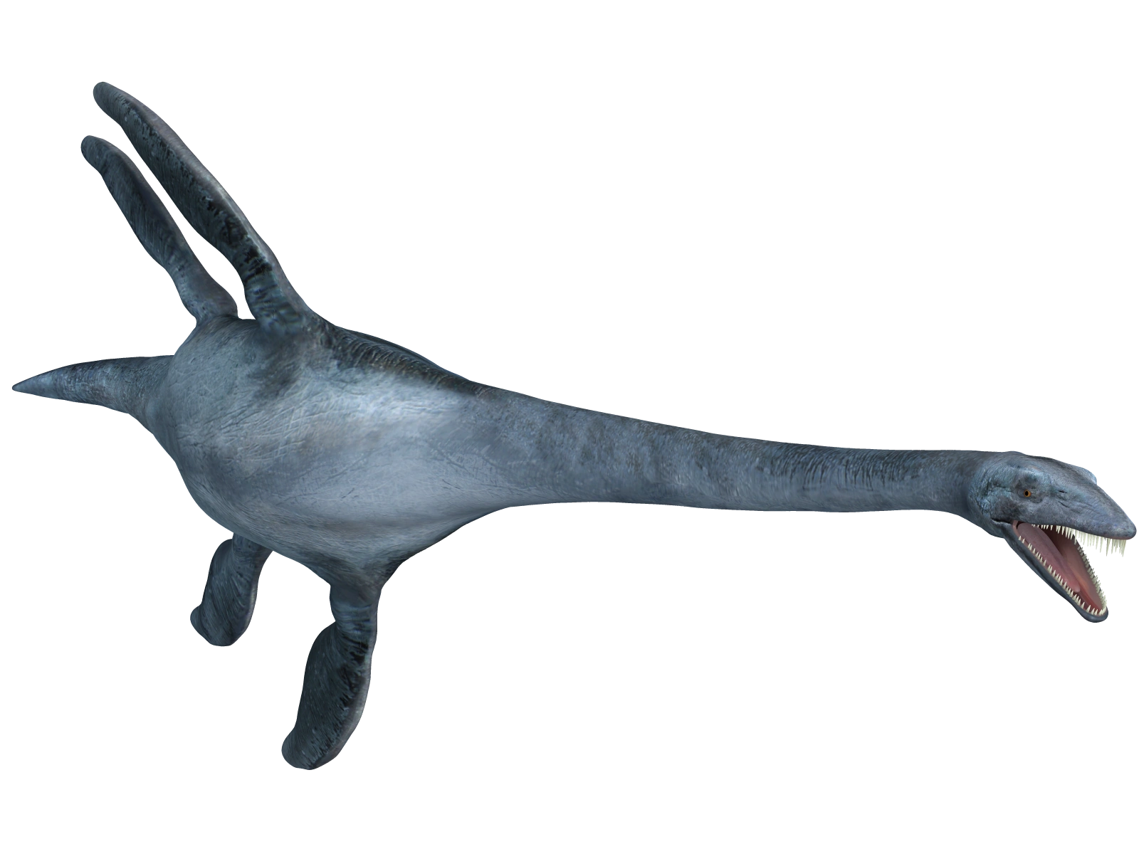 Imagen - Plesiosaurus.png | Wiki Prehistórico | FANDOM powered by Wikia