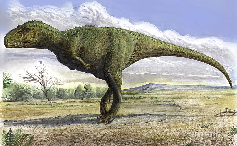 Aucasaurus | Wiki Prehistórico | FANDOM powered by Wikia