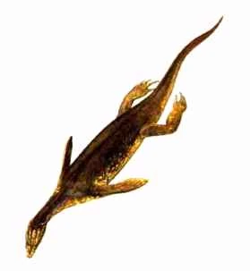 Corosaurus | Wiki Prehistórico | Fandom