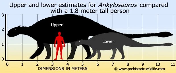 Ankylosaurus | Wiki Prehistórico | FANDOM powered by Wikia