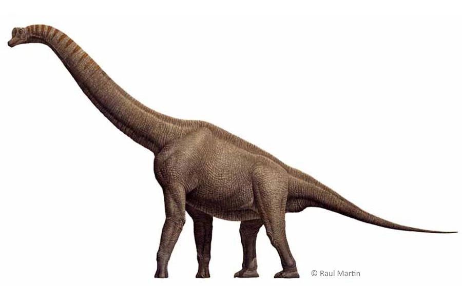Imagen - Brachiosaurus-Raul Martin.jpg | Wiki Prehistórico | FANDOM ...