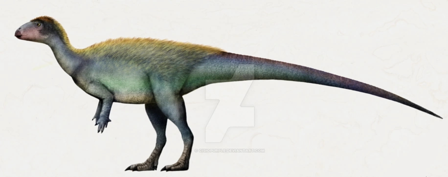 Diluvicursor | Wiki Prehistórico | Fandom