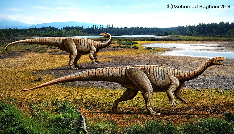 Plateosaurus | Wiki Prehistórico | Fandom