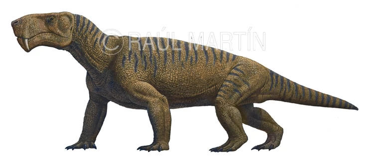 Gorgonops | Wiki Prehistórico | FANDOM powered by Wikia