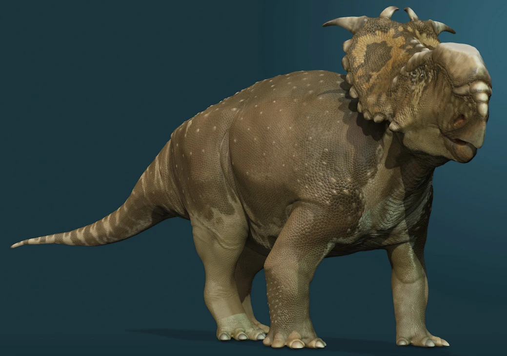 Pachyrhinosaurus | Wiki Prehistórico | Fandom