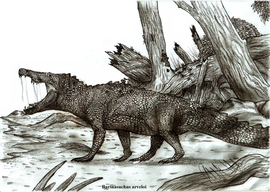 Barinasuchus | Wiki Prehistórico | Fandom