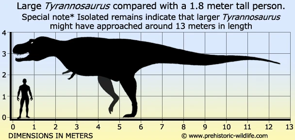 Imagen - Tyrannosaurus-size.jpg | Wiki Prehistórico | FANDOM powered by Wikia