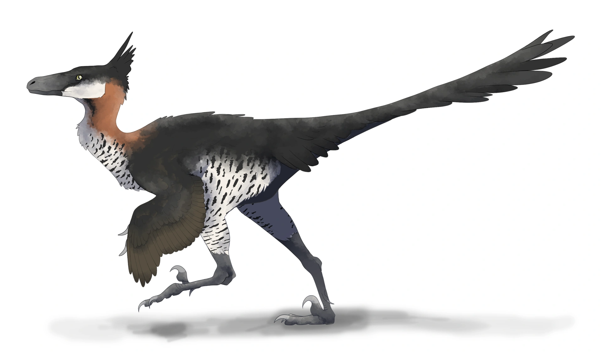 Saurornithoides | Wiki Prehistórico | Fandom