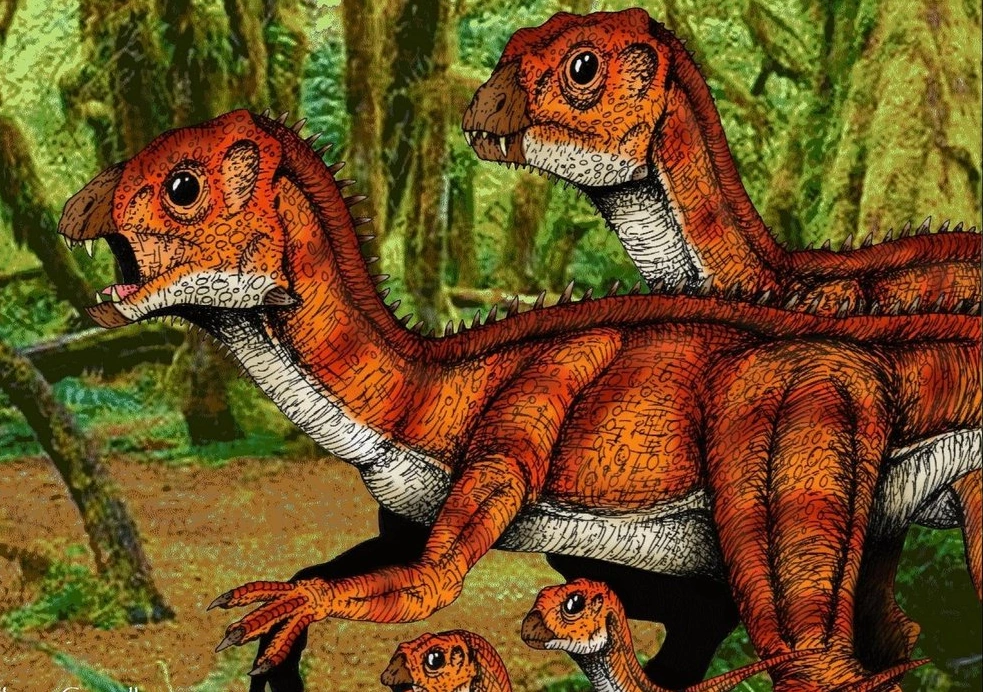 Heterodontosaurus | Wiki Prehistórico | FANDOM powered by Wikia