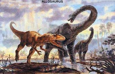 Kimeridgiano | Wiki Prehistórico | FANDOM powered by Wikia