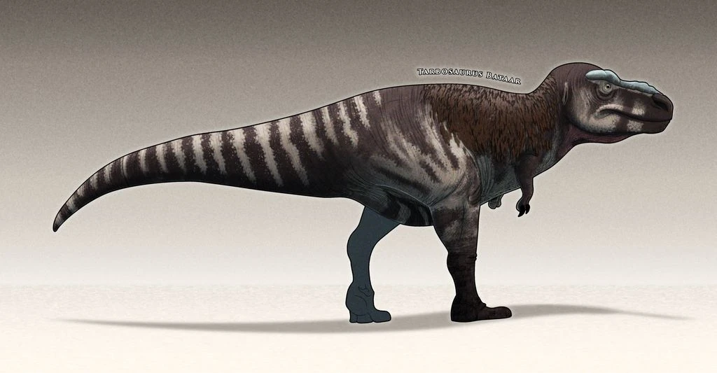 Tarbosaurus | Wiki Prehistórico | Fandom