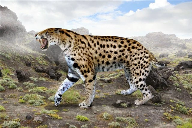 Xenosmilus | Wiki Prehistórico | FANDOM powered by Wikia