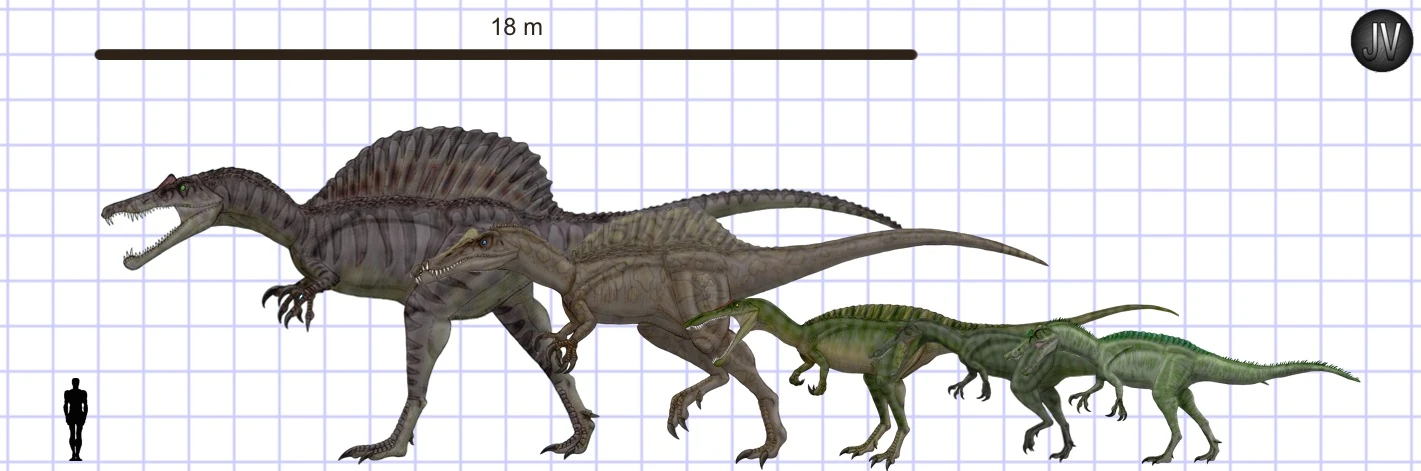 Spinosauridae | Wiki Prehistórico | FANDOM powered by Wikia