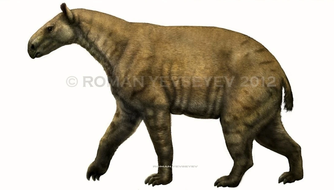 Moropus | Wiki Prehistórico | Fandom