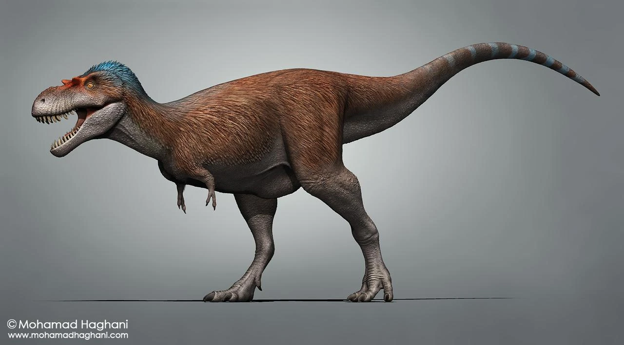 Albertosaurus | Wiki Prehistórico | Fandom