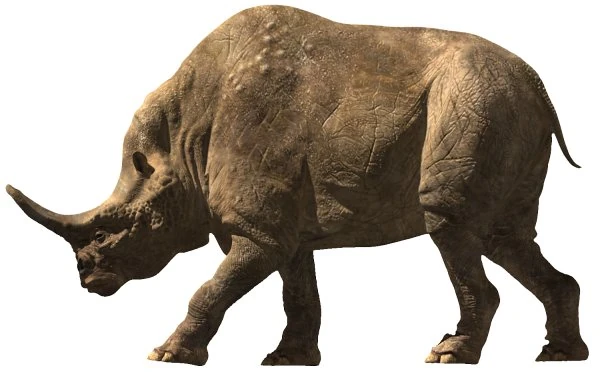 Imagen - Embolotherium.jpg | Wiki Prehistórico | FANDOM powered by Wikia