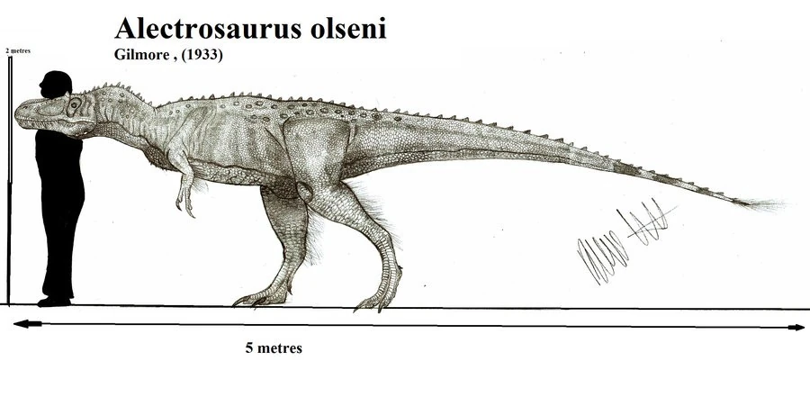 Alectrosaurus | Wiki Prehistórico | Fandom