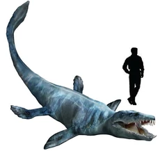 Mosasaurus | Wiki Prehistórico | FANDOM powered by Wikia