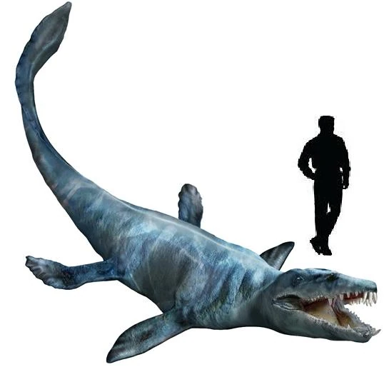 Mosasaurus | Wiki Prehistórico | FANDOM powered by Wikia