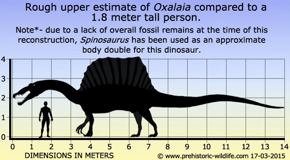 Imagen - Oxalaia-size.jpg | Wiki Prehistórico | FANDOM powered by Wikia