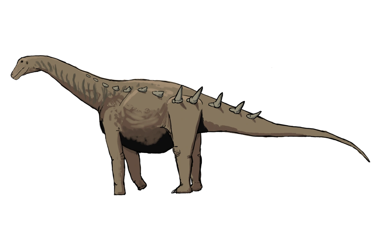 Bonitasaura | Wiki Prehistórico | Fandom