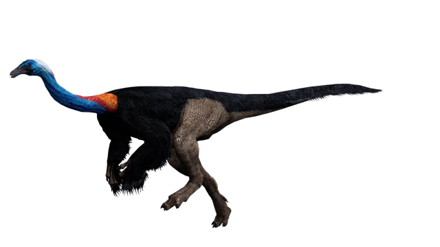 Imagen - Gallimimus.png | Wiki Prehistórico | FANDOM powered by Wikia