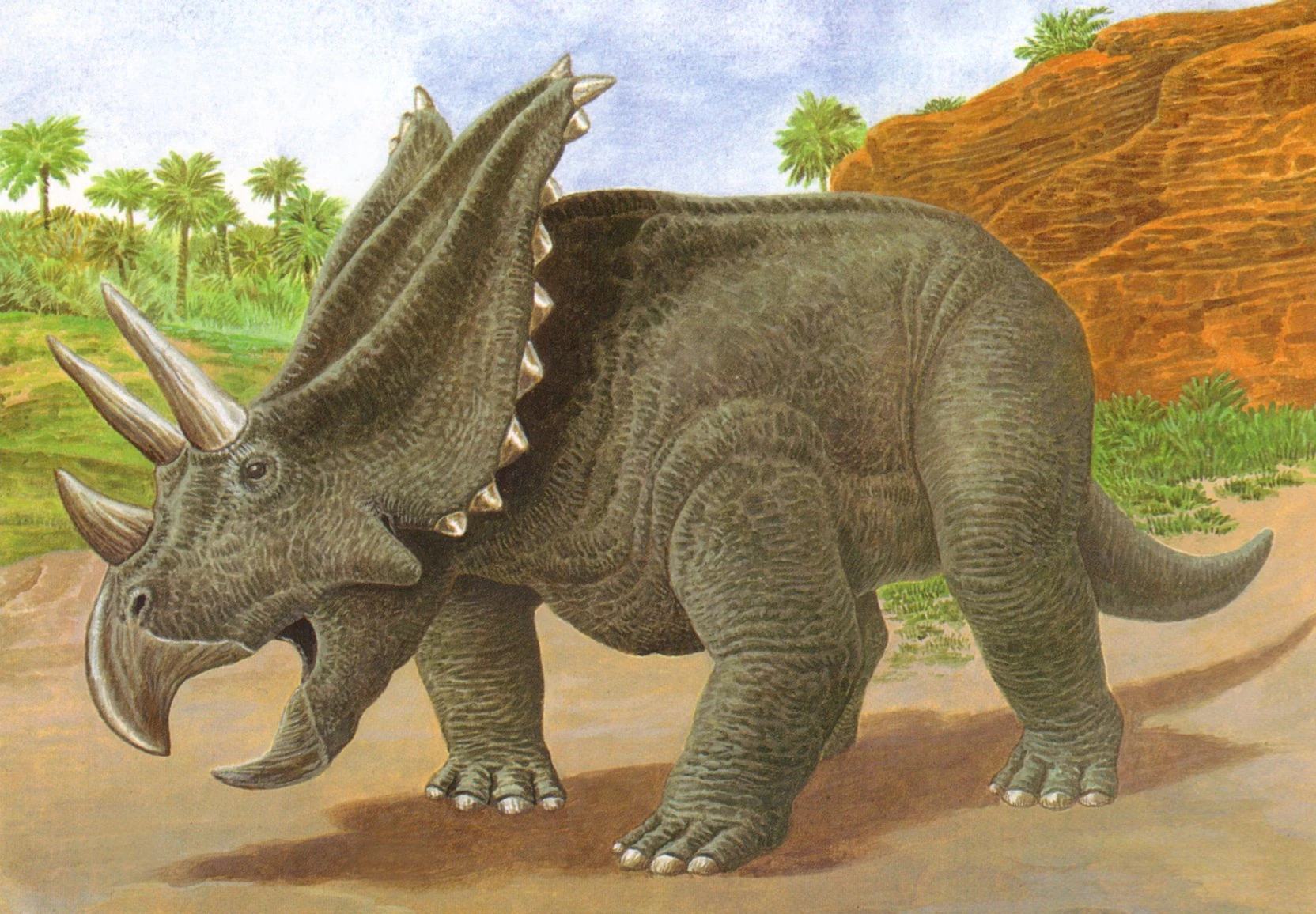 Categoría:Ceratopsidae | Wiki Prehistórico | Fandom