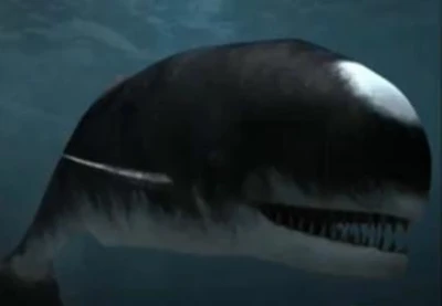 Brygmophyseter | Wiki Prehistórico | Fandom