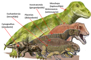 Synapsida | Wiki Prehistórico | FANDOM powered by Wikia