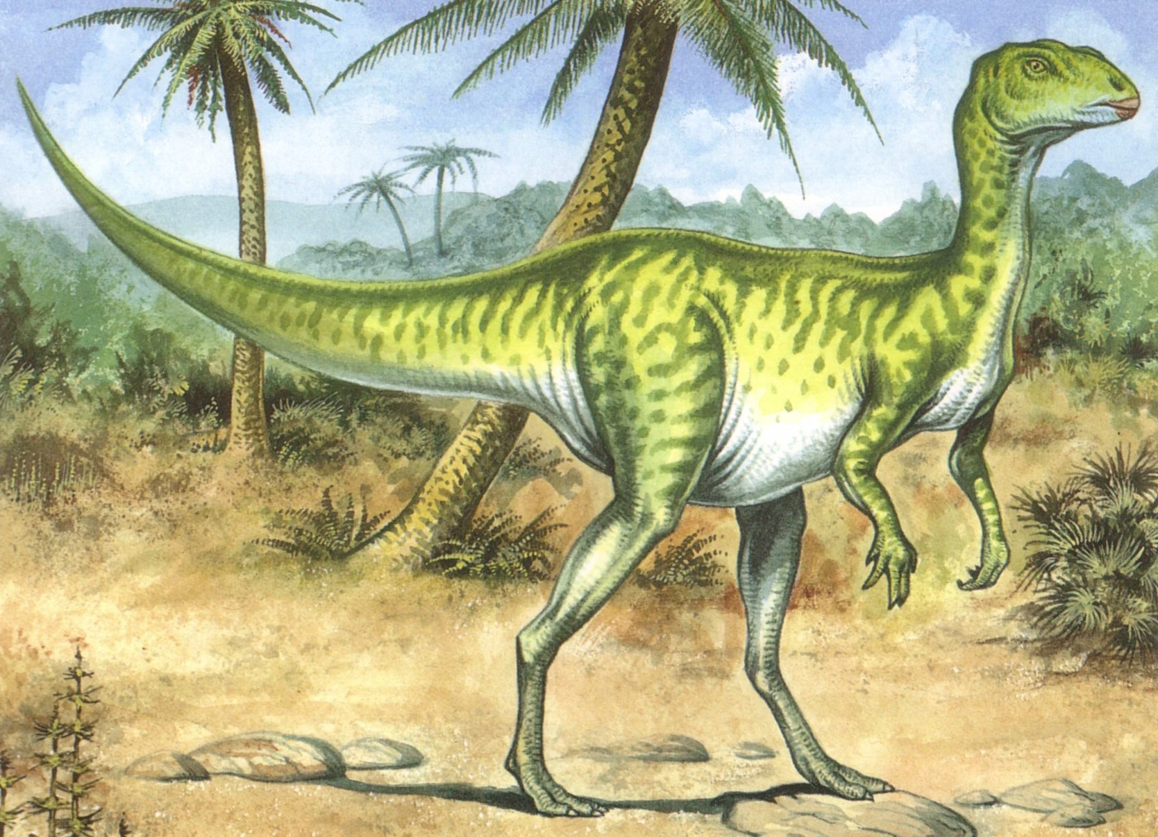 Dryosaurus | Wiki Prehistórico | FANDOM powered by Wikia