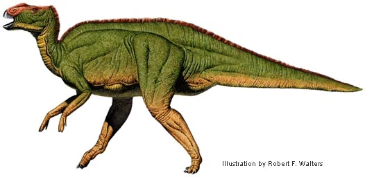 Hadrosaurus | Wiki Prehistórico | Fandom