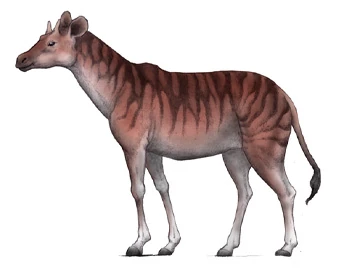 Palaeotragus | Wiki Prehistórico | Fandom