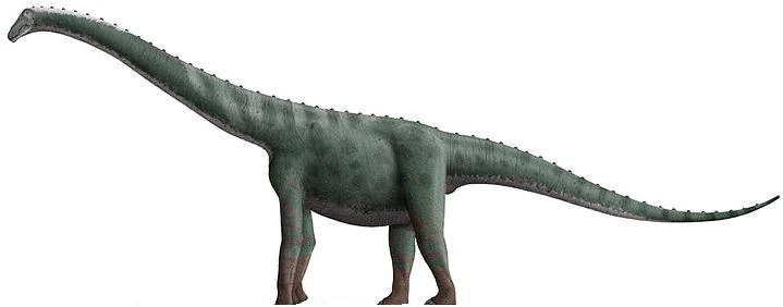 Rinconsaurus | Wiki Prehistórico | FANDOM powered by Wikia