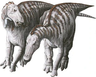 Telmatosaurus | Wiki Prehistórico | FANDOM powered by Wikia