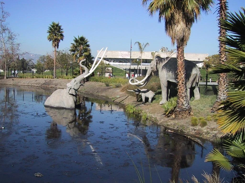Imagen - La brea tar pits.jpeg | Wiki Prehistórico | FANDOM powered by ...