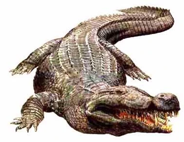 Deinosuchus | Wiki Prehistórico | FANDOM powered by Wikia