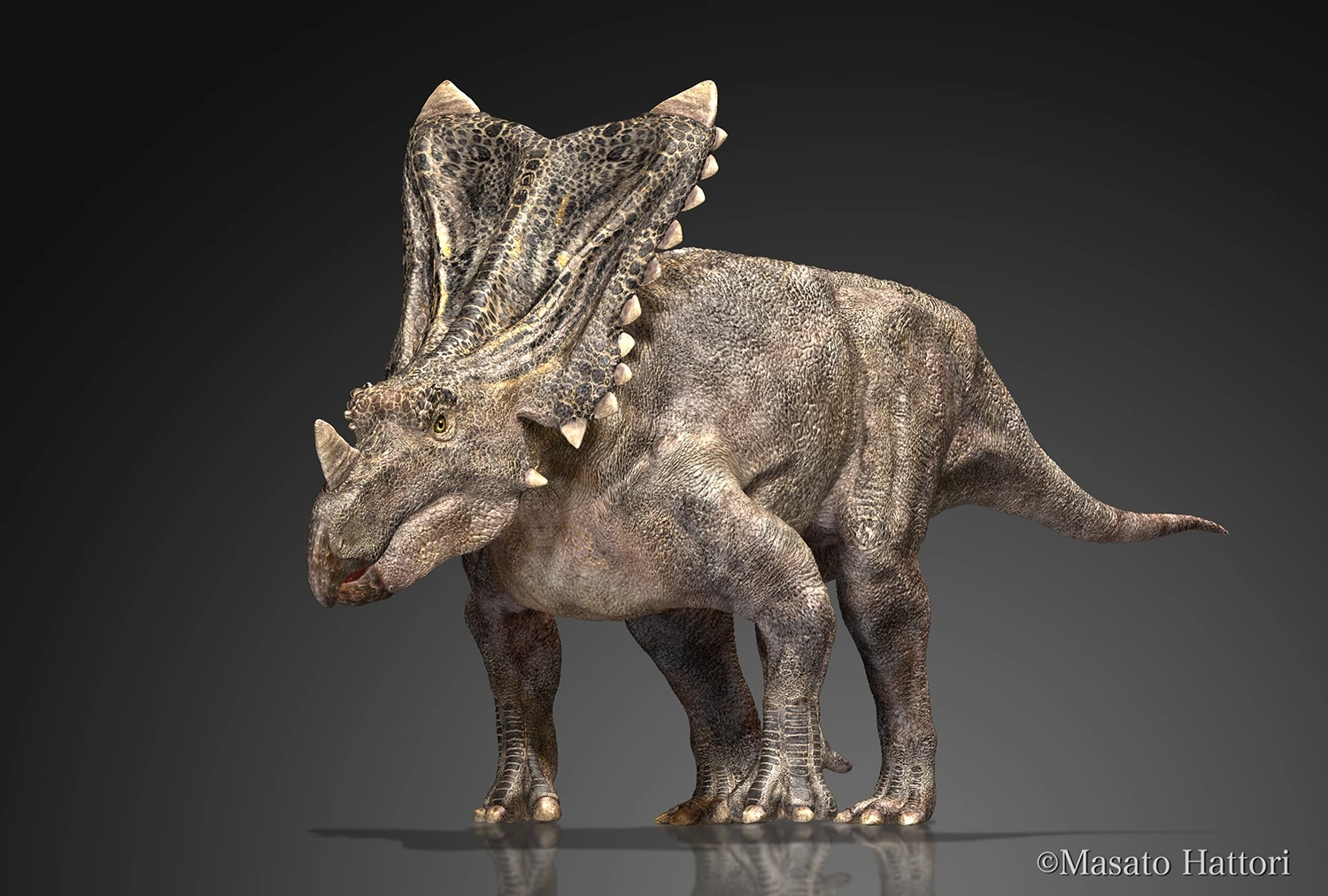 Изображение - Chasmosaurus image.jpg | Вымершие животные вики | FANDOM ...