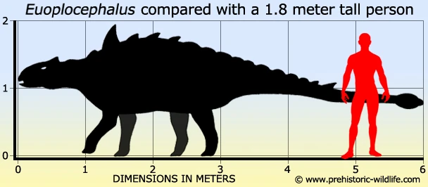 Изображение - Euoplocephalus-size.jpg | Вымершие животные вики | FANDOM ...
