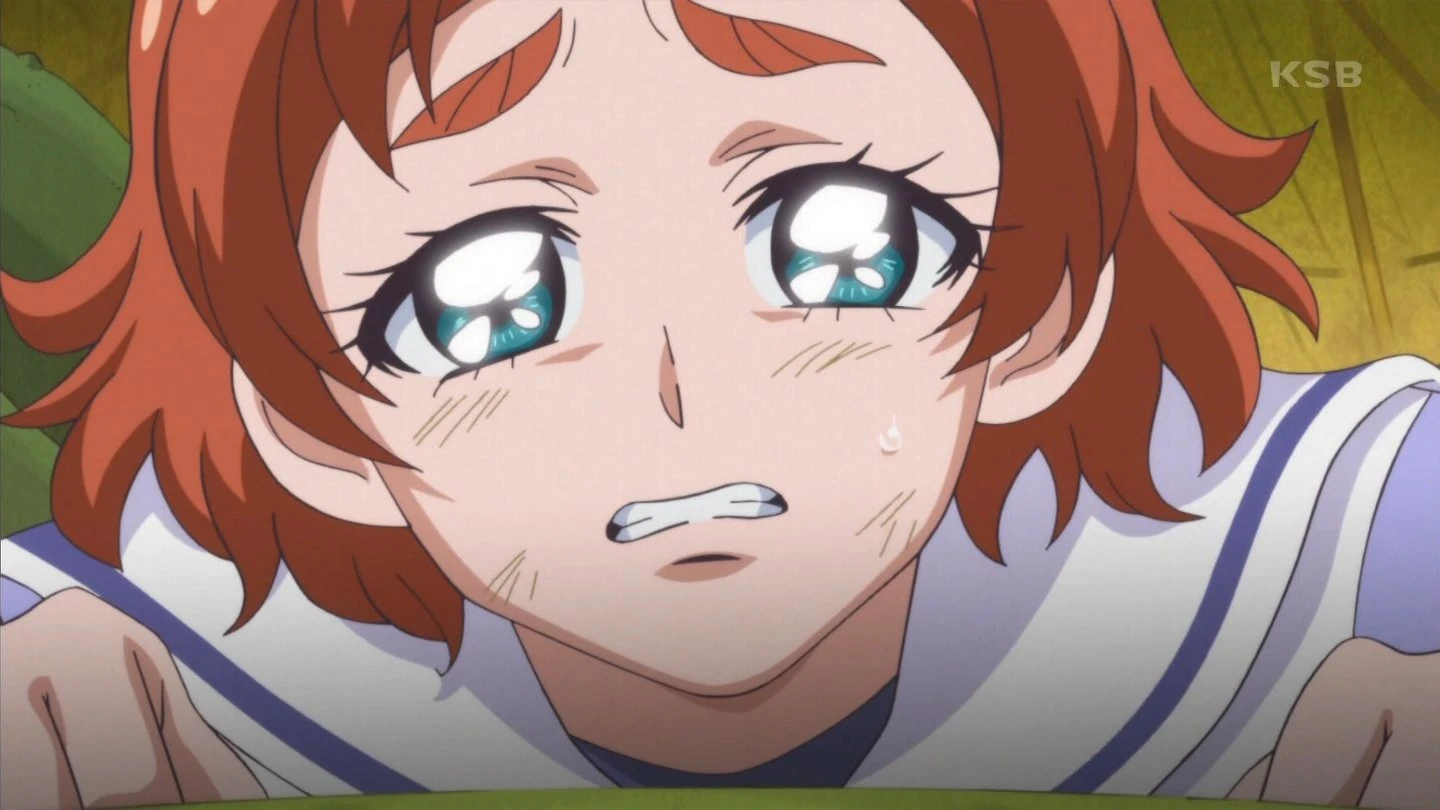 Image - Haruka crying.jpg | Pretty Cure Wiki | FANDOM powered by Wikia