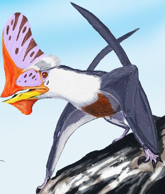 Tupandactylus Primeval The Reboot Wiki Fandom Powered By Wikia