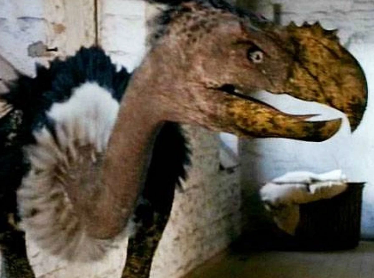 Terror Bird | Primeval: The reboot Wiki | FANDOM powered by Wikia